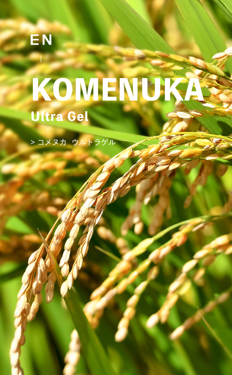 カテゴリー – SOISHOP